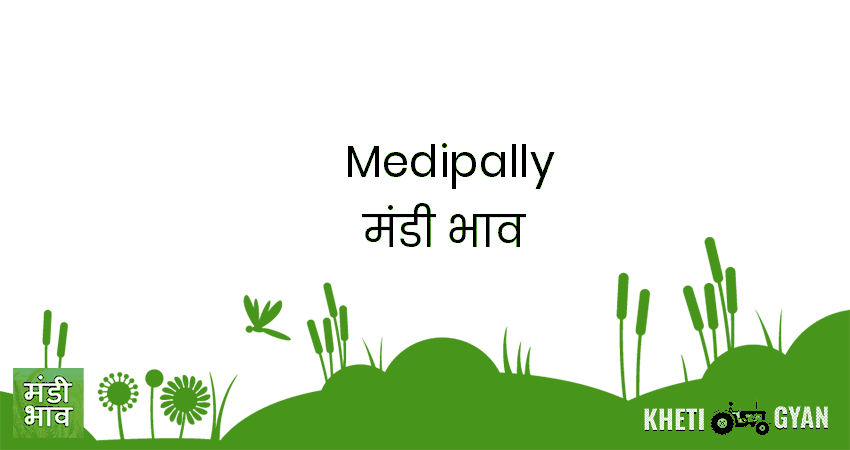 Medipally Mandi Bhav Today | आज का मंडी भाव | Commodity Market Rate ...