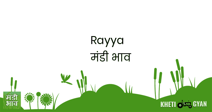 Rayya Mandi Bhav Today | आज का मंडी भाव | Commodity Market Rate - Mandi ...